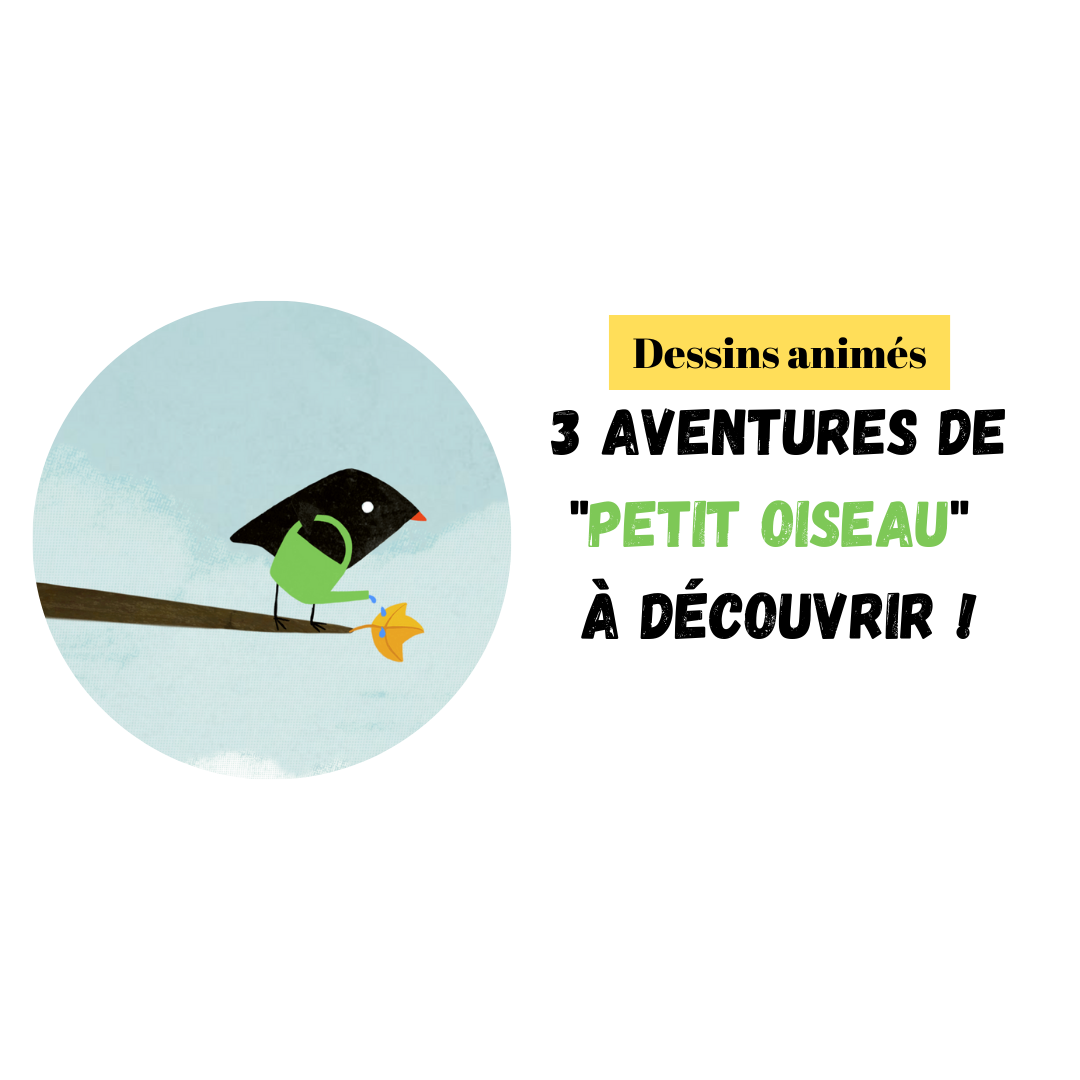 3 aventures du « petit oiseau » à découvrir ! – Animation Land