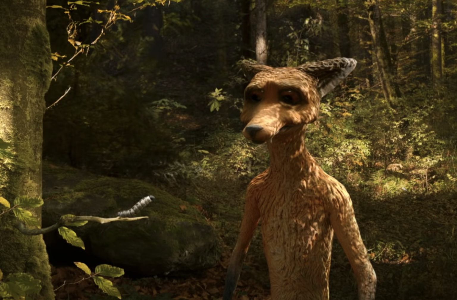 Le renard et l’oiseau : un superbe film d’animation sur l’entraide et l ...