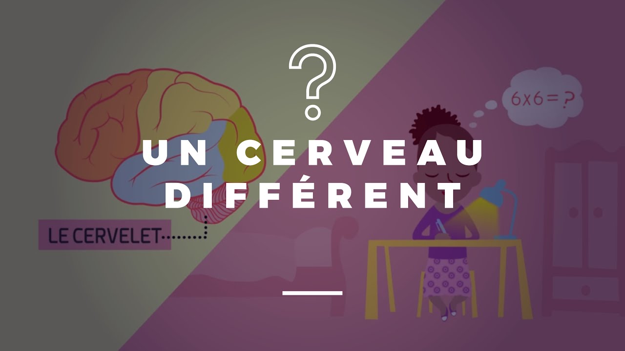 Film d'animation : le cerveau expliqué aux enfants - Animation Land